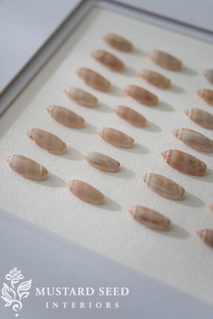 decorating with shells | Miss Mustard Seed