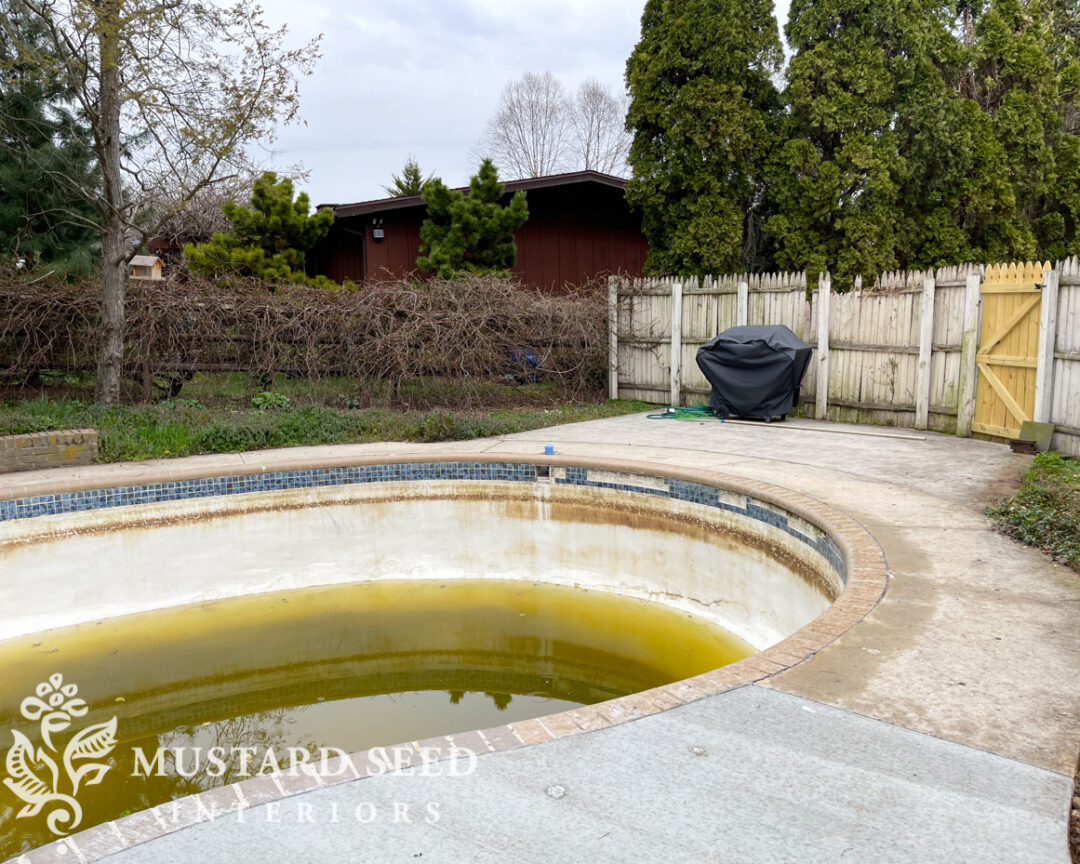 backyard pool renovation | one year later - Miss Mustard Seed