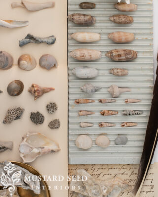 Hilton Head Island | Shelling Tips | Miss Mustard Seed