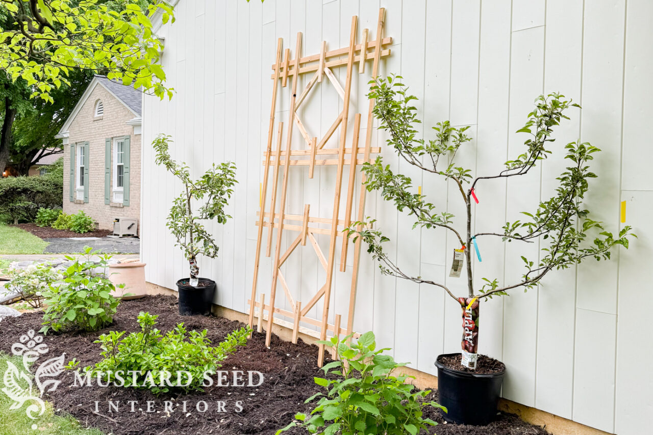 large vintage-style garden trellis tutorial & free plans | Miss Mustard ...