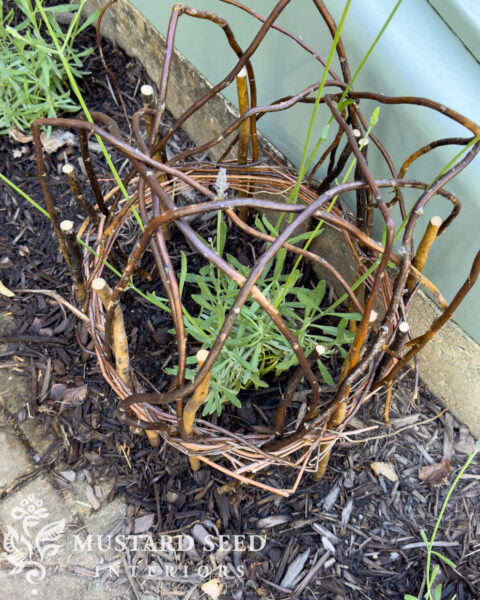 marian tries | weaving garden cloches | Miss Mustard Seed