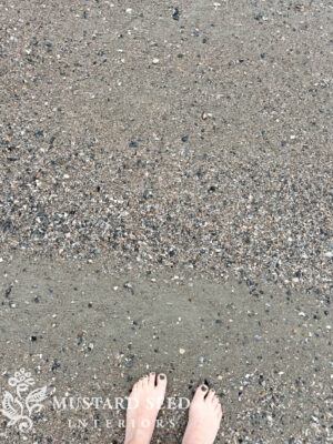 Hilton Head Trip | Hunting Island, Shelling, & Alfred's | Miss Mustard Seed