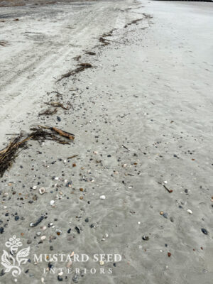 Hilton Head Trip | Hunting Island, Shelling, & Alfred's | Miss Mustard Seed