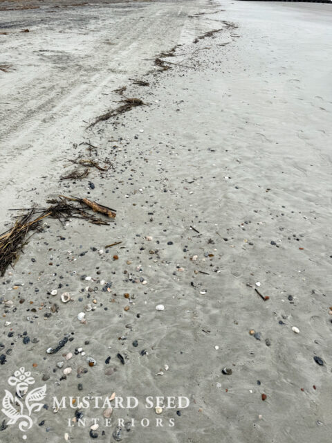Hilton Head Trip | Hunting Island, Shelling, & Alfred's | Miss Mustard Seed