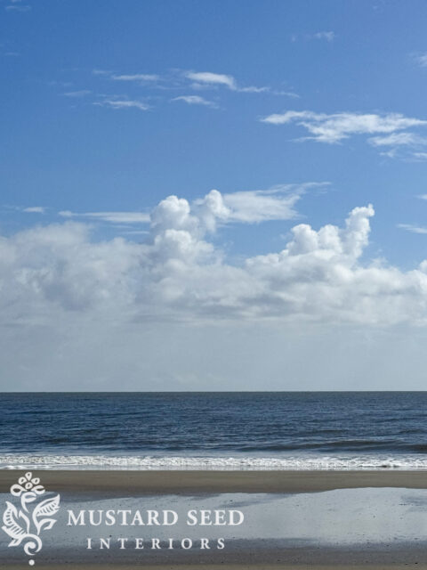 Hilton Head Trip | Hunting Island, Shelling, & Alfred's | Miss Mustard Seed