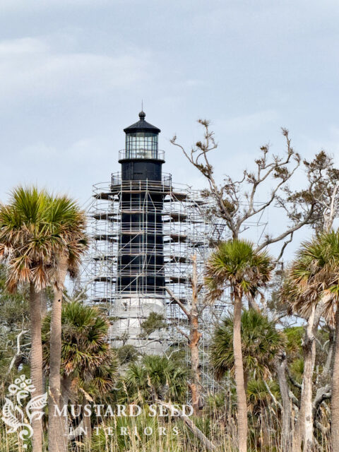 Hilton Head Island | Shelling Tips | Miss Mustard Seed