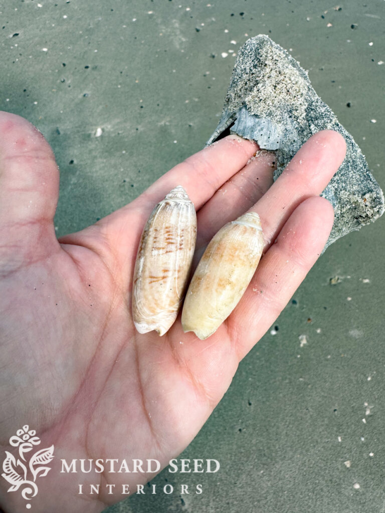 Hilton Head Trip | Hunting Island, Shelling, & Alfred's | Miss Mustard Seed