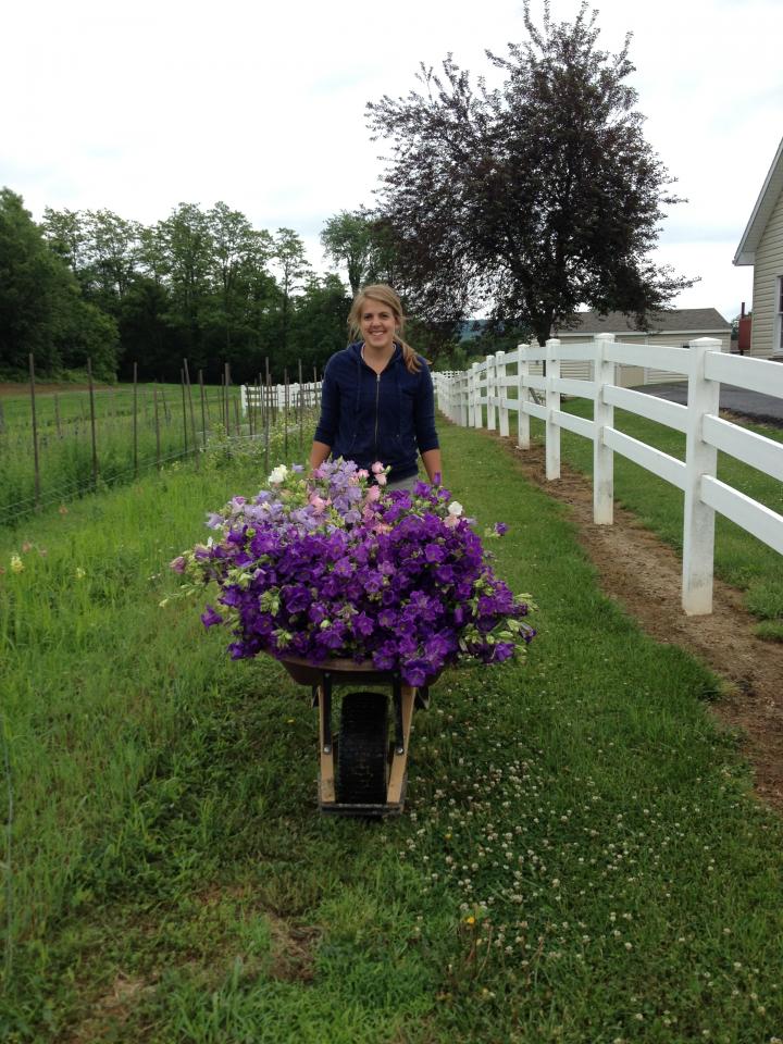 Roots Flower Farm | Miss Mustard Seed