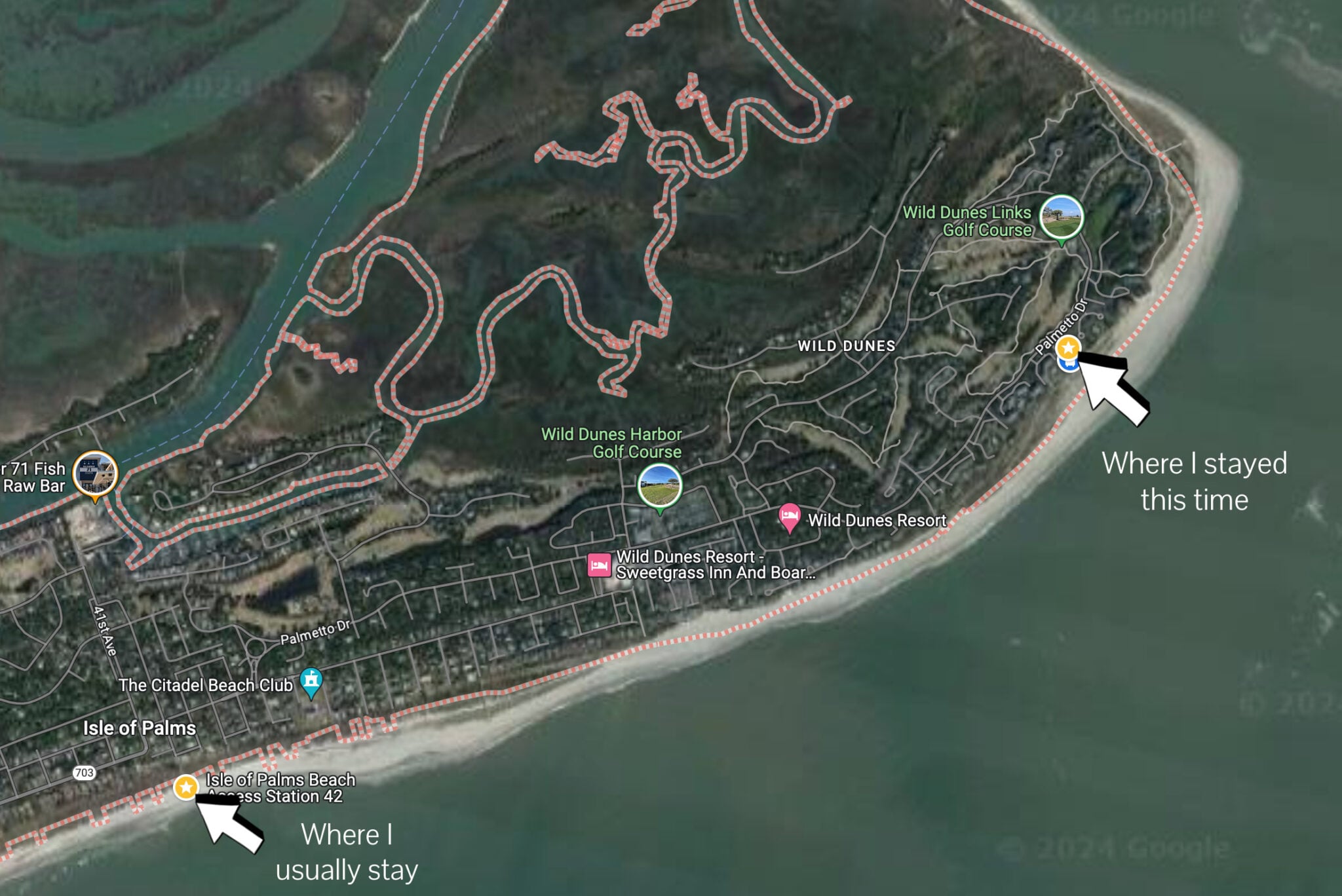 Isle of Palms & Wild Dunes Shelling Guide | Miss Mustard Seed