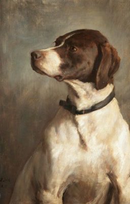 maud earl pointer study in oils | Miss Mustard Seed